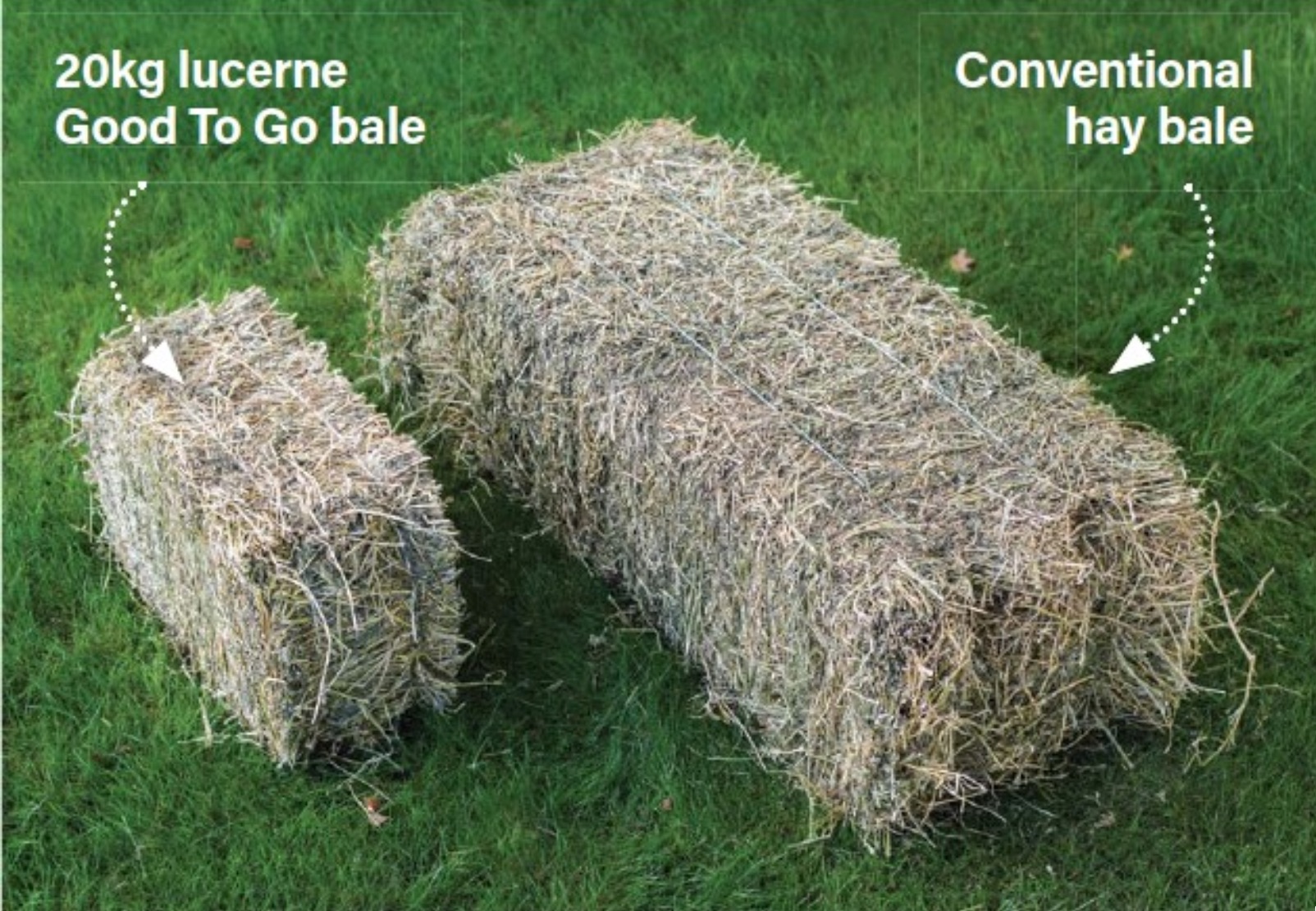Hay - Compressed Bales - Wrapped - Living Rural