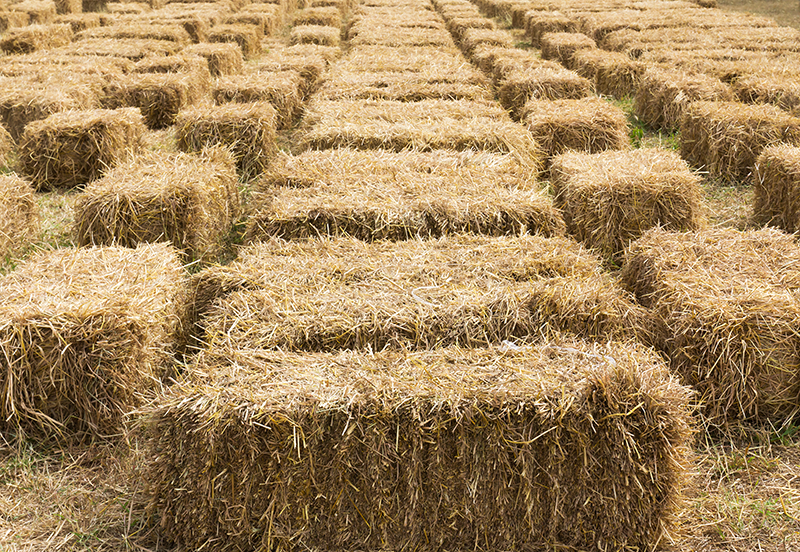 Hay - Living Rural