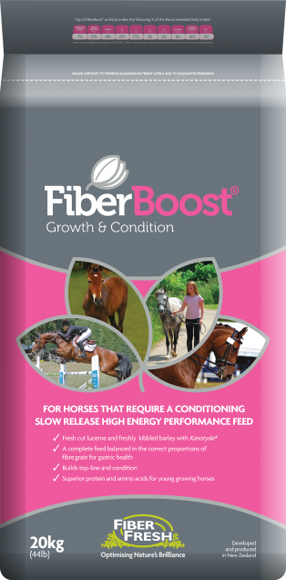 Fiber Boost - Living Rural